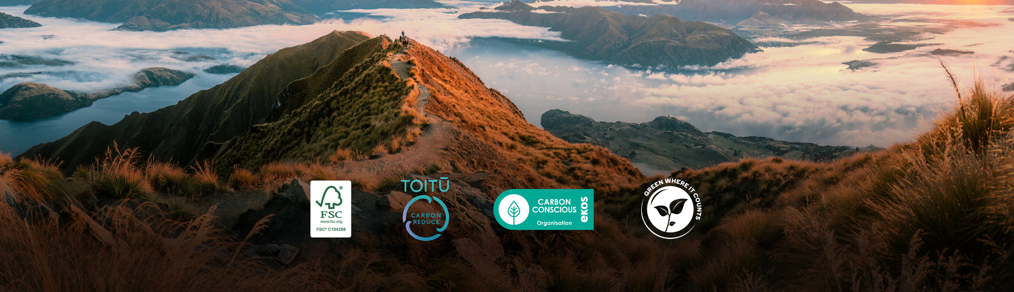 Pacific Hygiene - Leading Hygiene and Cleaning Solutions